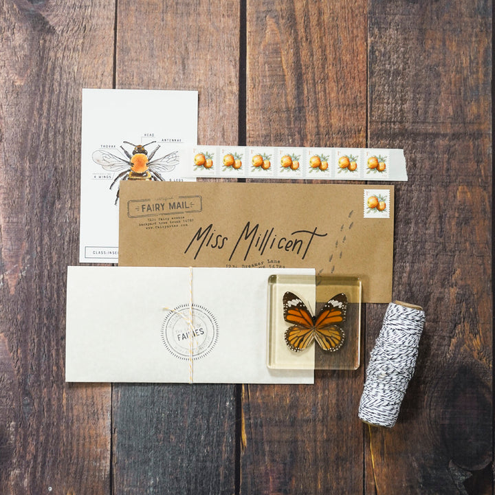 Monthly Fairy Mail from Violet - the insect loving fairy – Fairy Notes