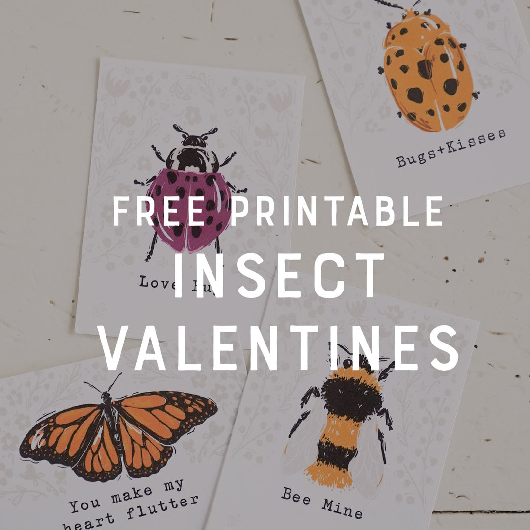 Free Printables – Fairy Notes