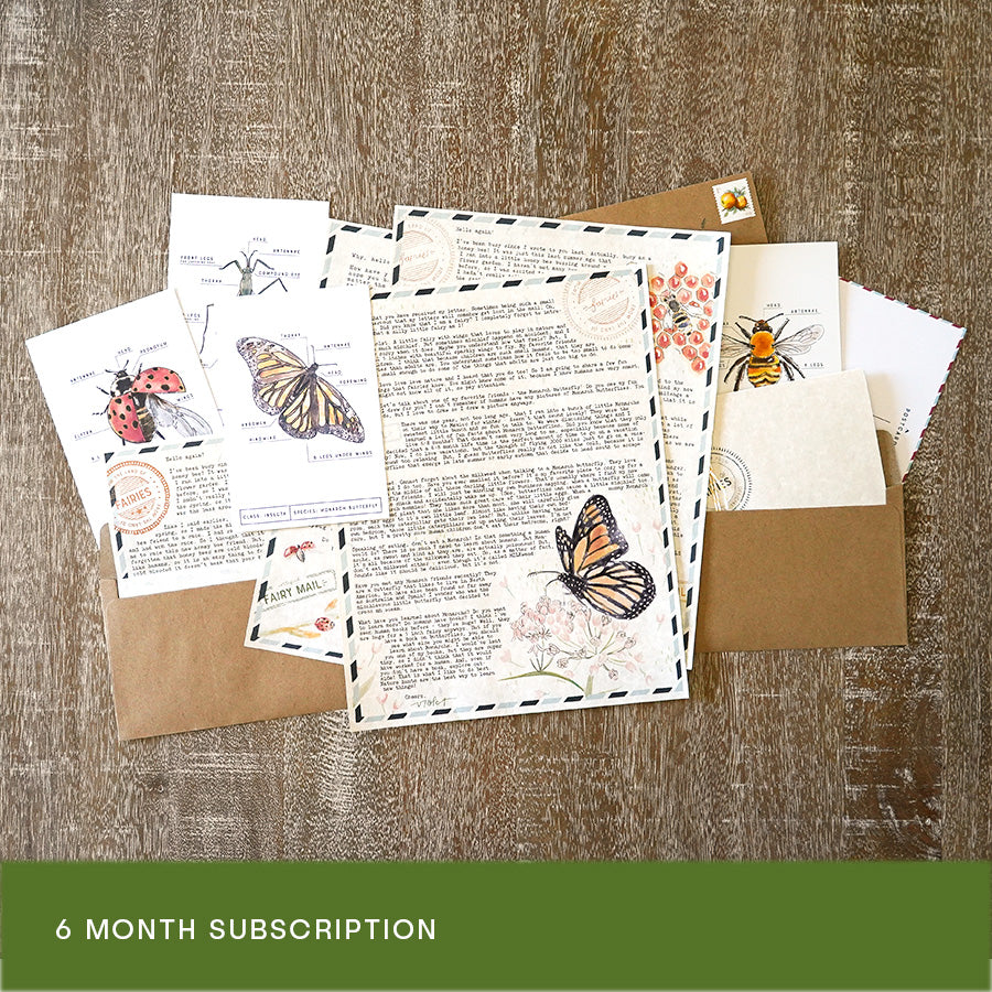6 Months of Fairy Mail from Violet - the insect loving fairy – Fairy Notes